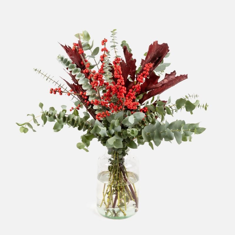 A Natale decora la casa con i fiori: Colvin e’ la soluzione